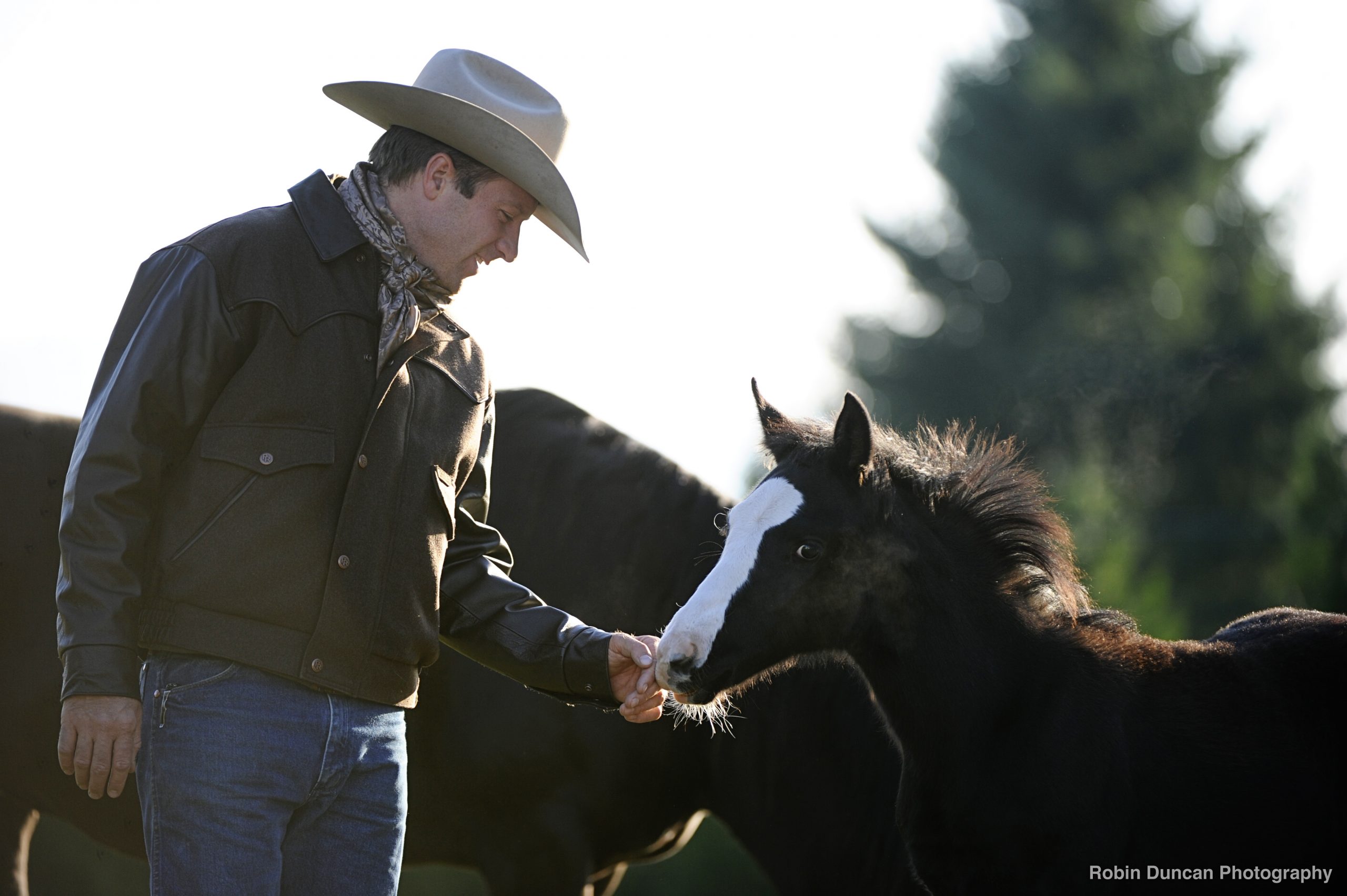 Connection & Riding Excellence - Prairieland Ag Center
