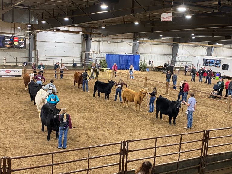 Showmanship - Saskatchewan Beef Expo