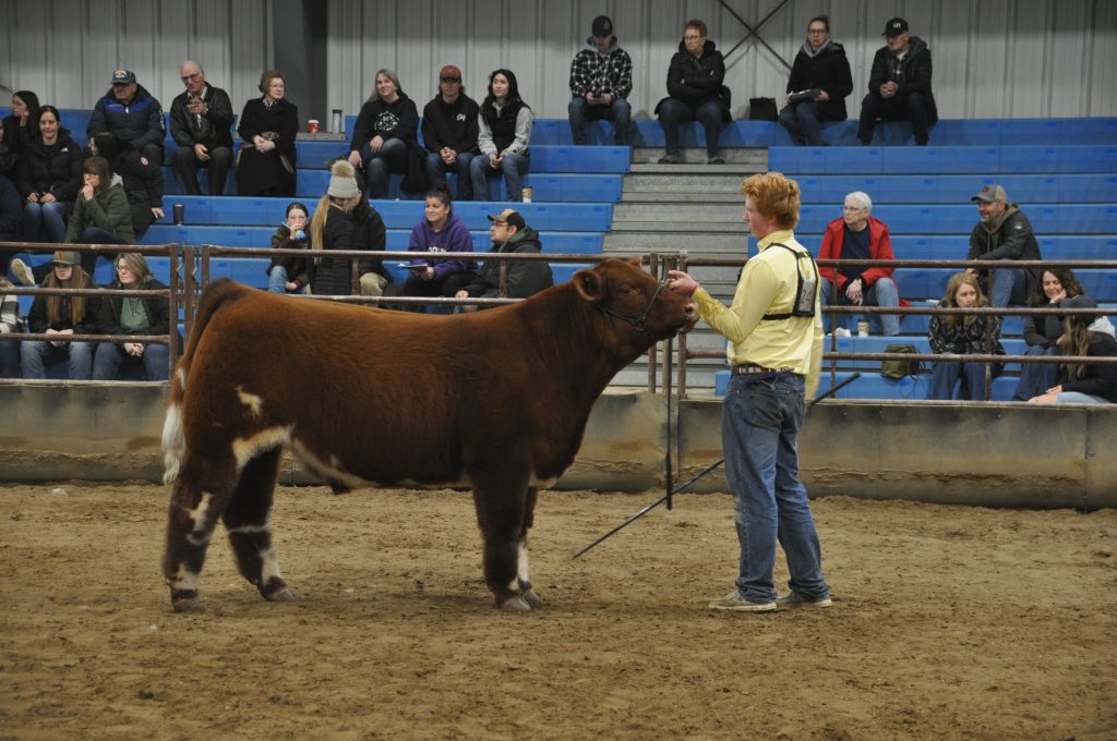Gallery - Saskatchewan Beef Expo