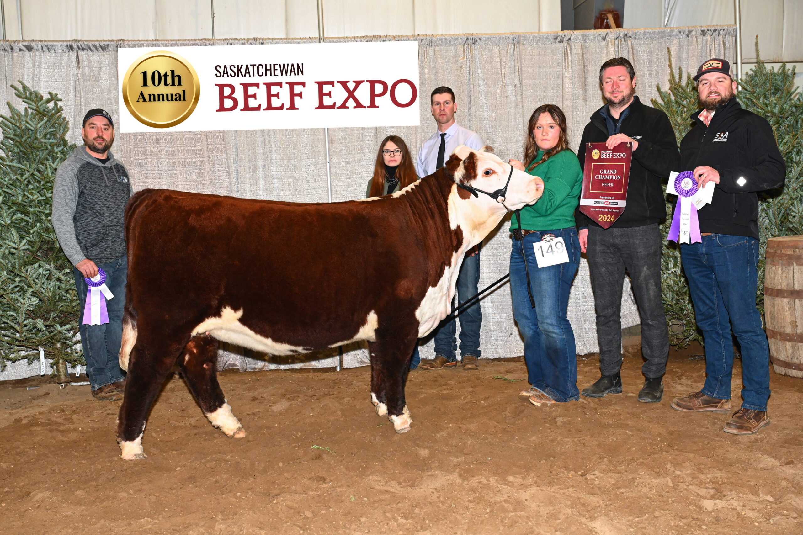 Heifer Show - Saskatchewan Beef Expo