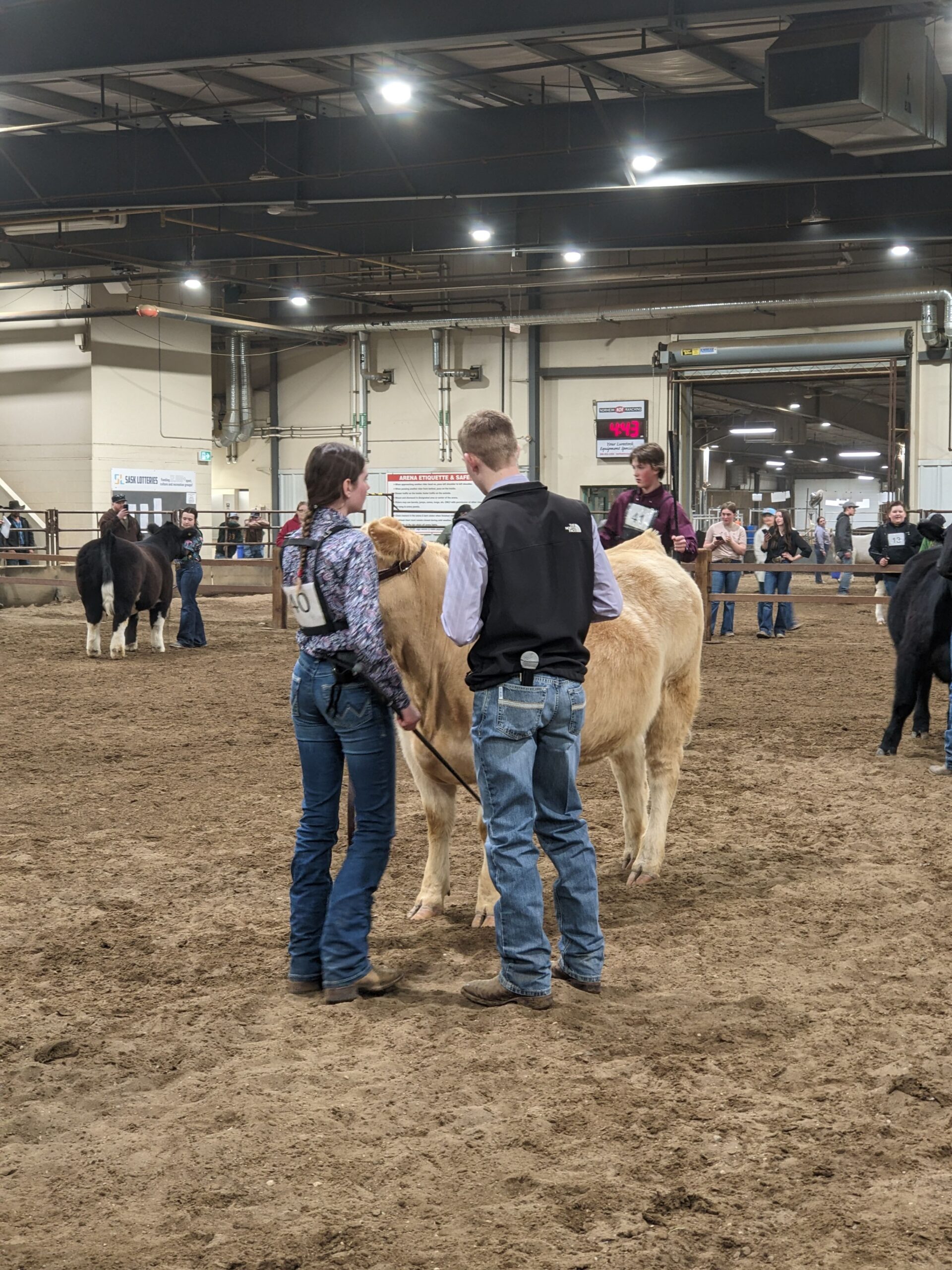 Showmanship - Saskatchewan Beef Expo