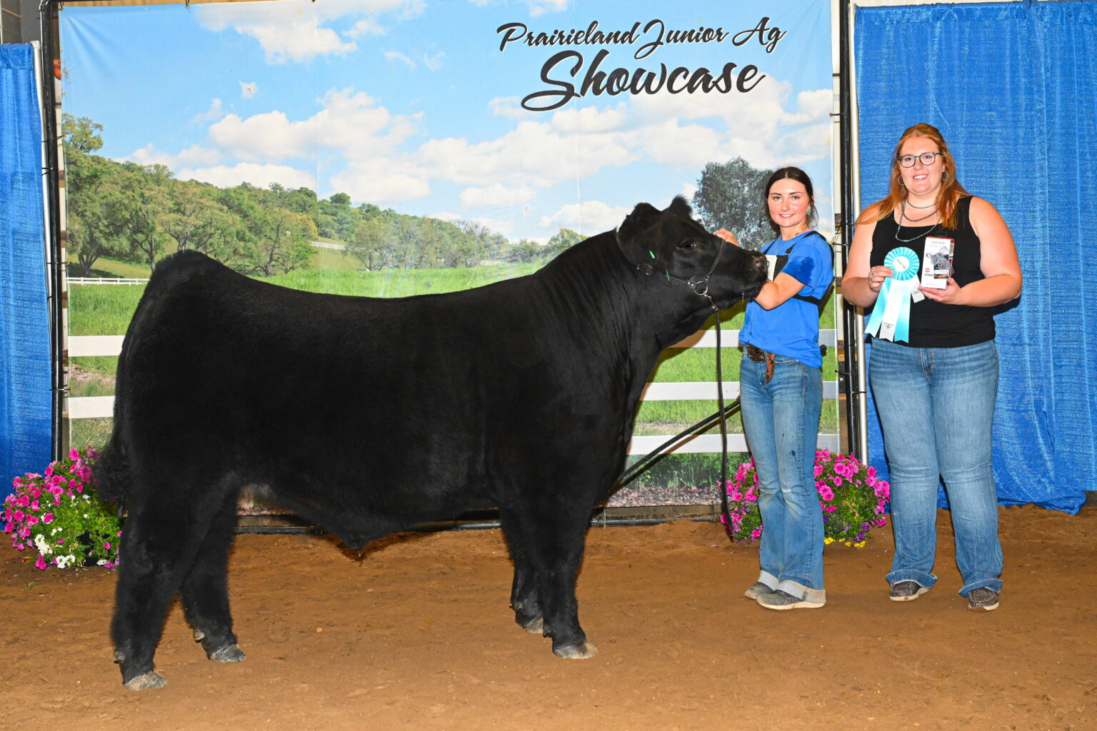 Finished Steer Results - Junior Ag Showcase