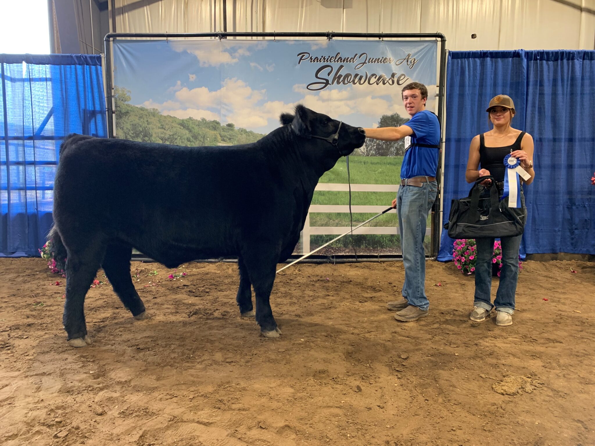 Finished Steer Results - Junior Ag Showcase