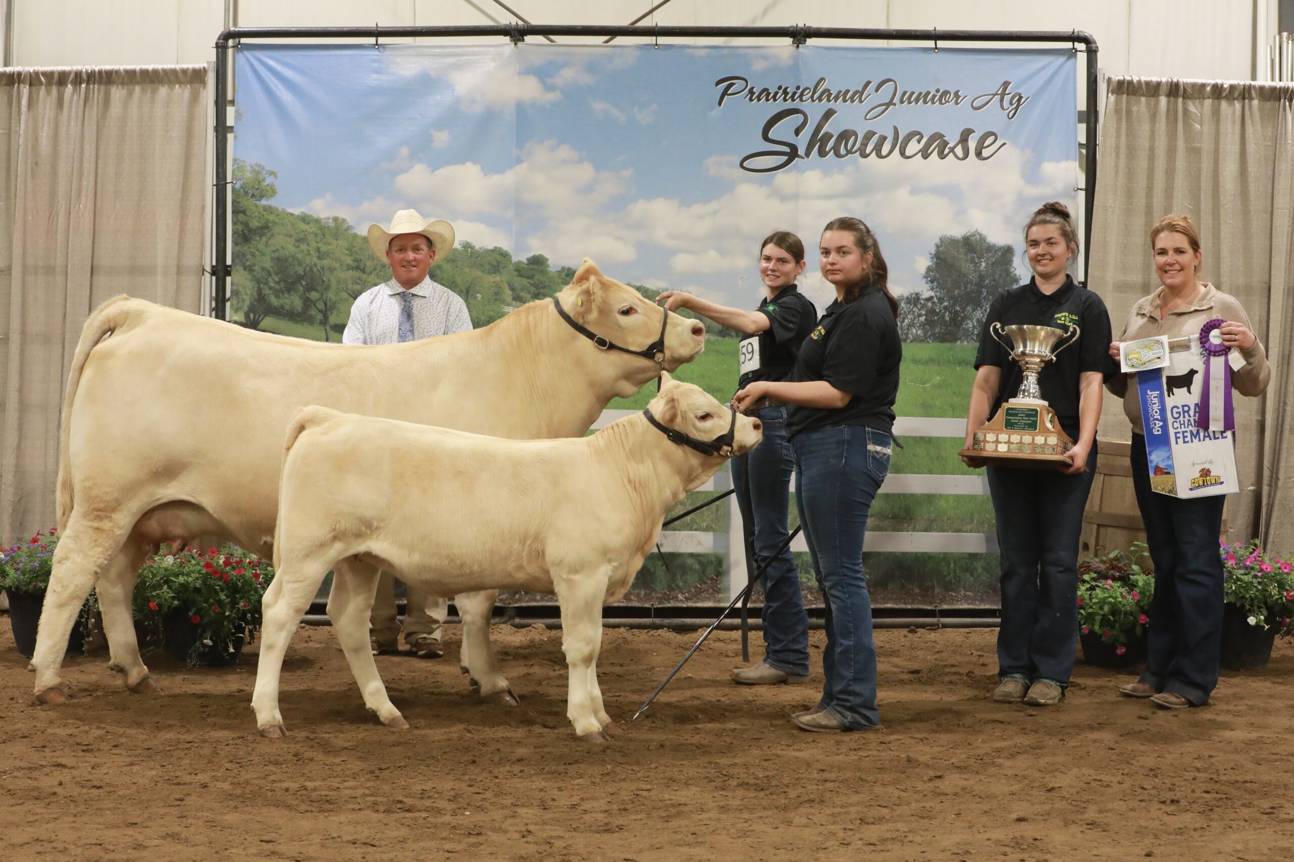 Beef Female Results - Junior Ag Showcase