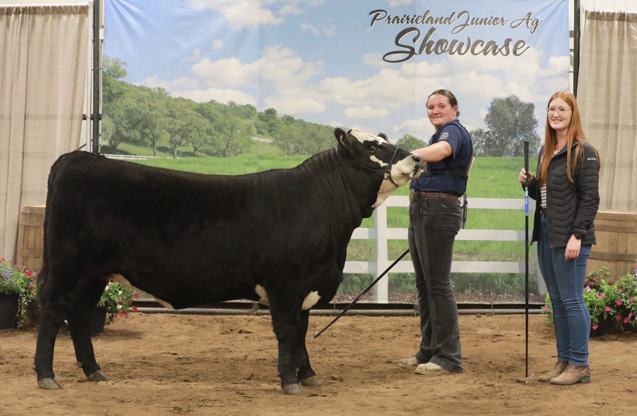 Finished Steer Results - Junior Ag Showcase
