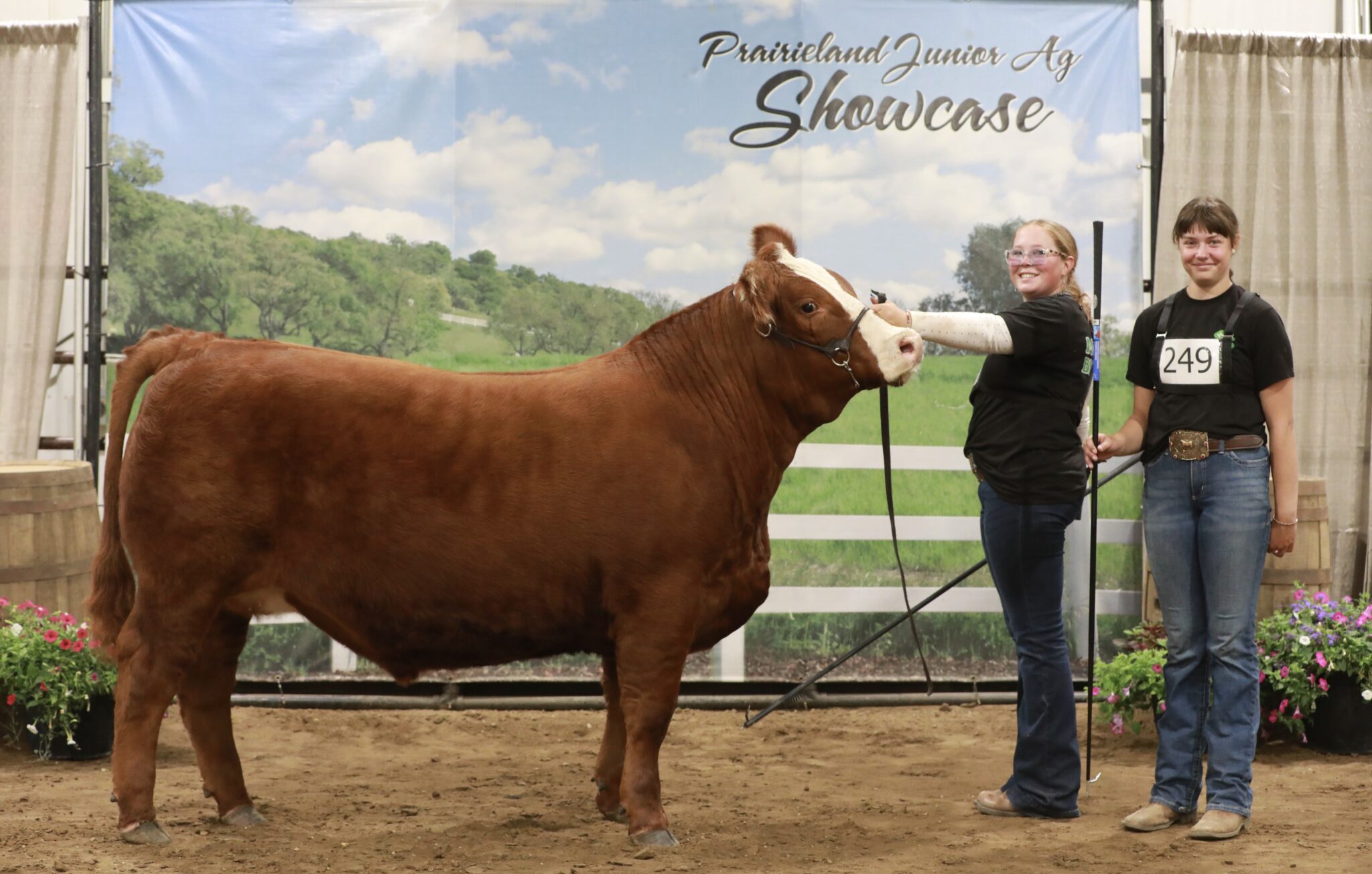 Finished Steer Results - Junior Ag Showcase