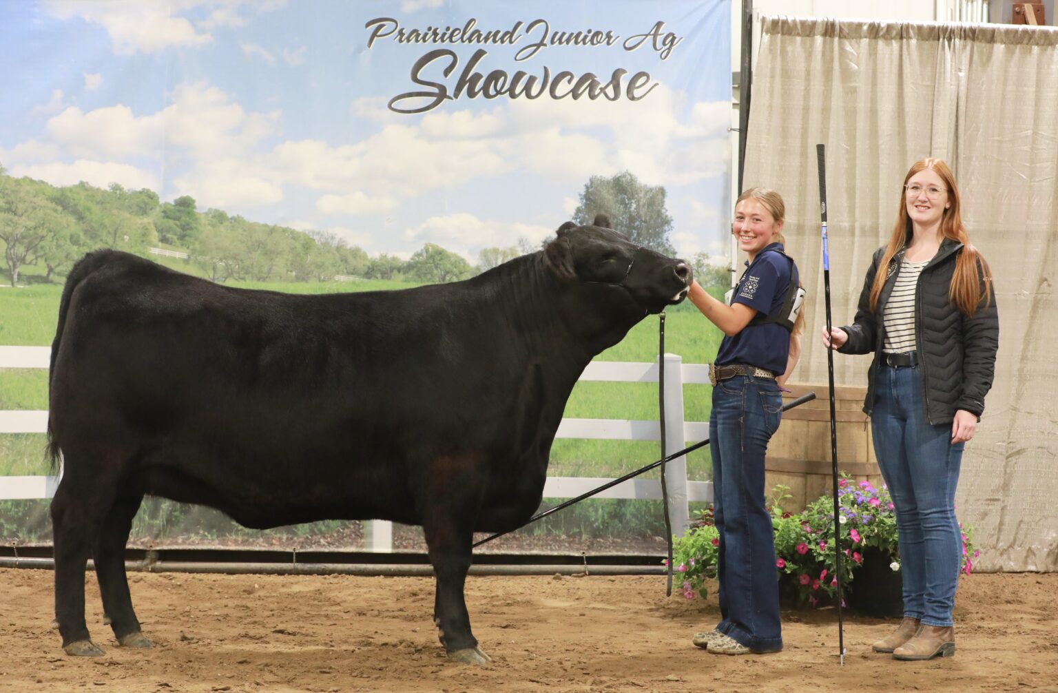 Finished Steer Results - Junior Ag Showcase