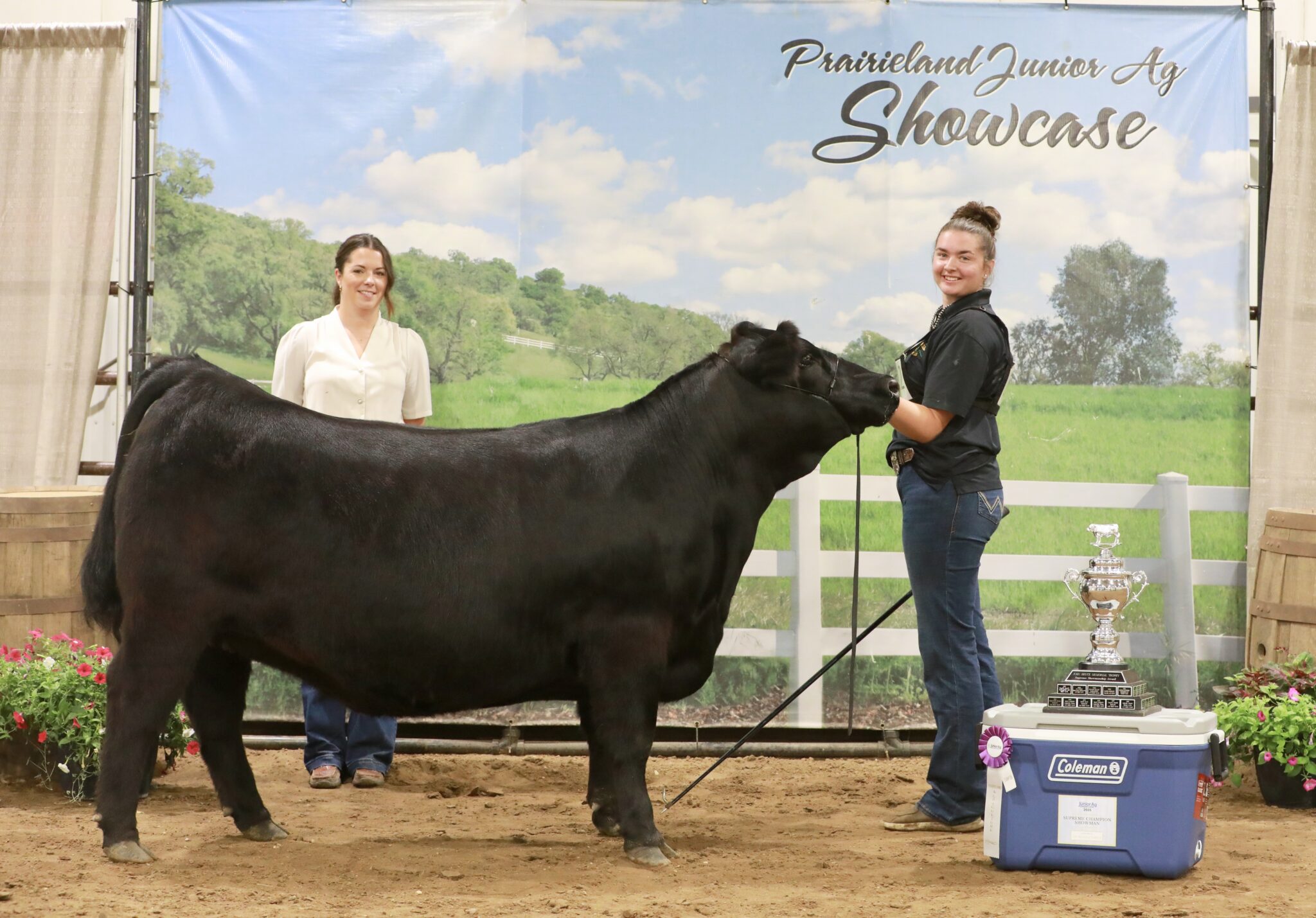 Finished Steer Results - Junior Ag Showcase